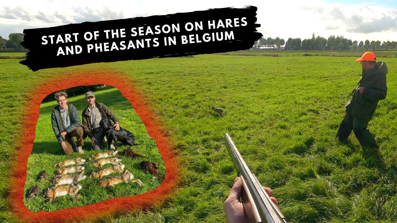 Start of the season on hares and pheasants - Hunting duck,hare and ...