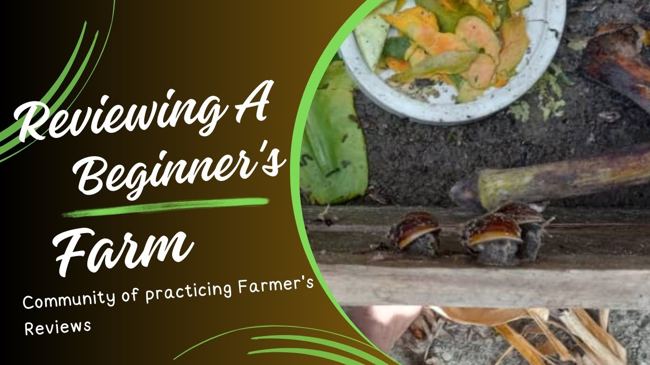 African Giant Snail Farming Review: Joining the Community for Help ...