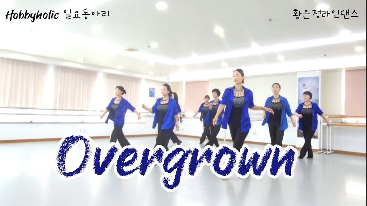 Overgrown(WDM25) Line Dance - Intermediate Level/#하비홀릭라인댄스 #일요동아리 #부산라인댄스 - YouTube