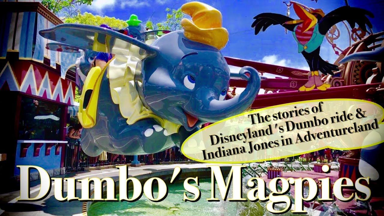 Dumbo's Magpies | Explore stories of "Disneyland's Dumbo ride ...