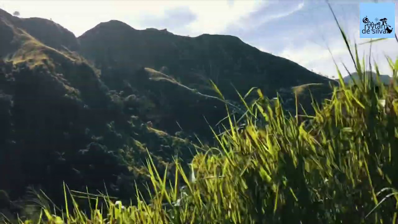 Tripping In Hill Side Sri Lanka🇱🇰 - YouTube