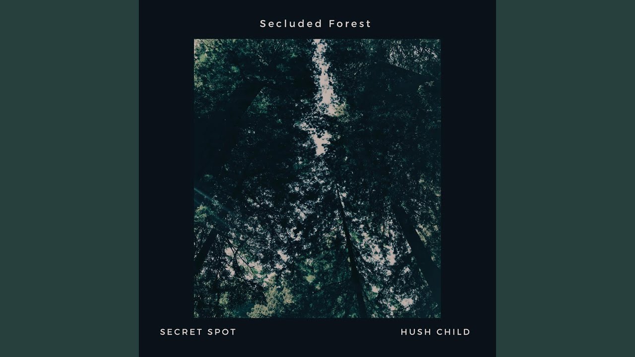 Secluded Forest - YouTube