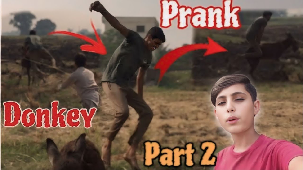 Part 2 | Funny Donkey Prank | Most Funny Reactions 2024 | vellapendu1 ...