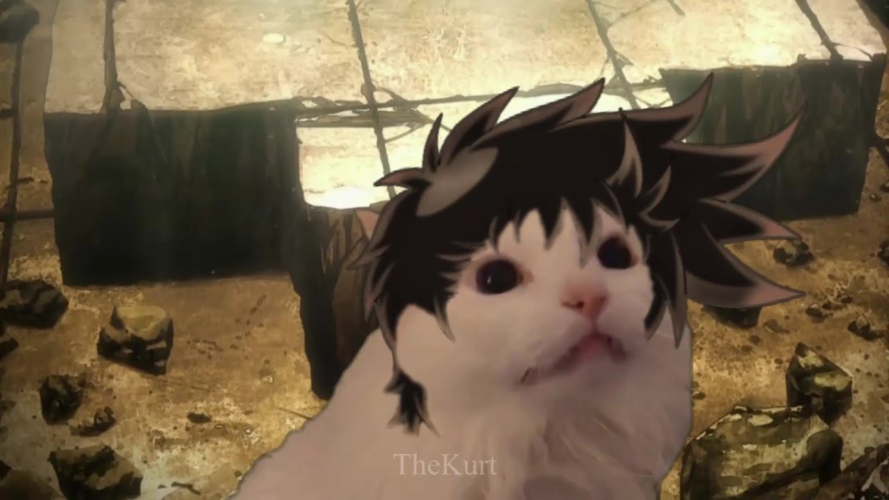 SHIZAAAAAAA - YouTube