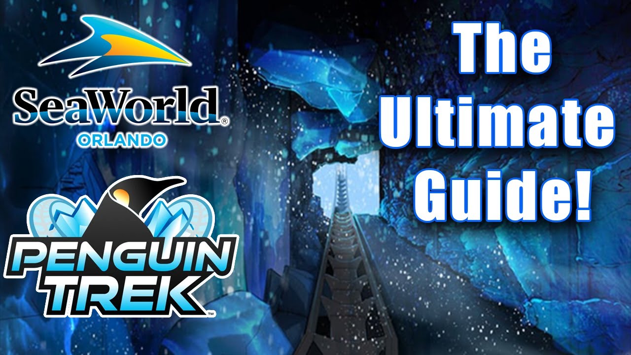 The Ultimate Guide to Penguin Trek - SeaWorld Orlando's New for 2024 ...
