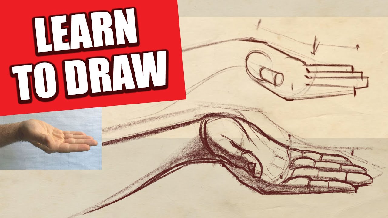 Mastering Hand Drawing: Step-by-Step Guide to Drawing a Hand with the ...