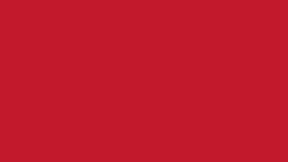 Red Screen 30 Min | HD Solid Background for Editing