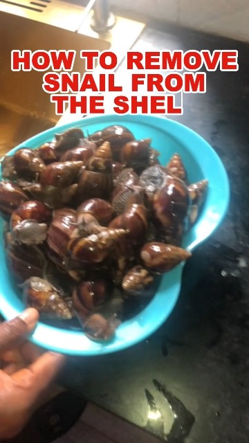 How to remove the snail from the shell without breaking it. - YouTube