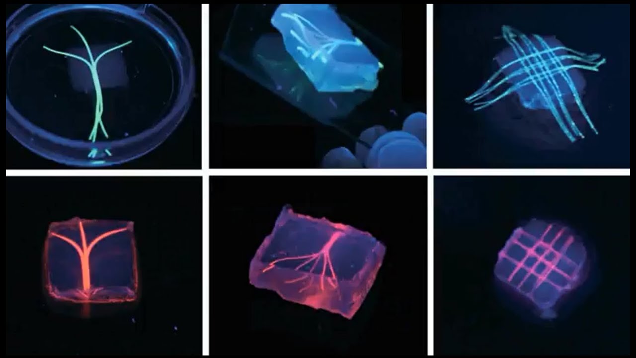 3D Technology: Building a Better Blood Vessel Video – Brigham and Women ...