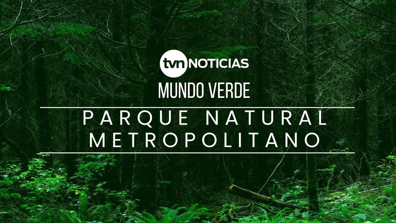 Mundo Verde: Parque Natural Metropolitano - YouTube