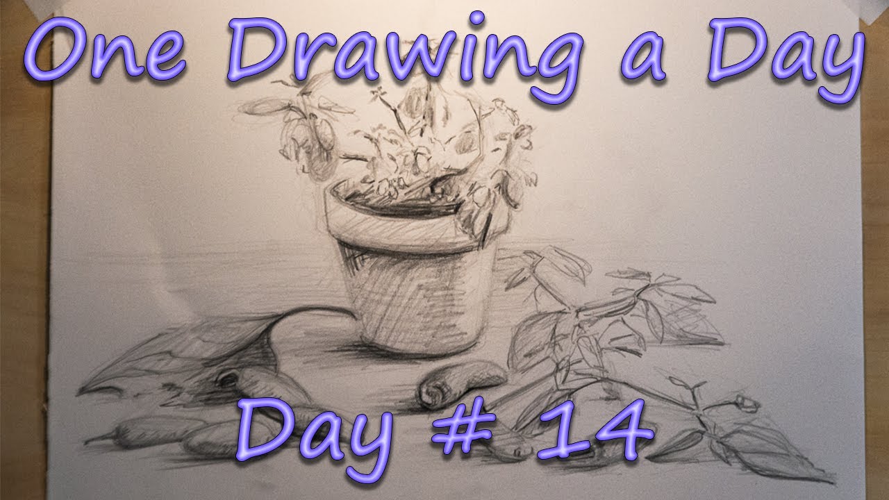 Drawing Everyday for a Month: Day 14 - YouTube