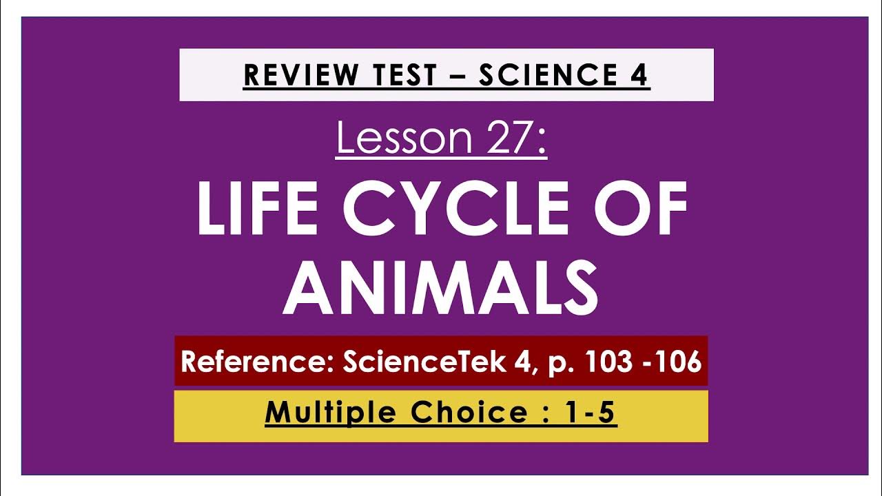 SCIENCE 4 - LESSON 27: LIFE CYCLE OF ANIMALS (REVIEWER) - YouTube