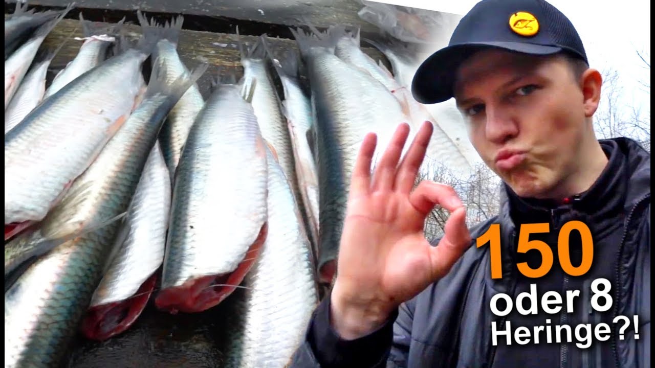 WAS machen wir nur anders? Heringsangeln für Profis und Einsteiger ...