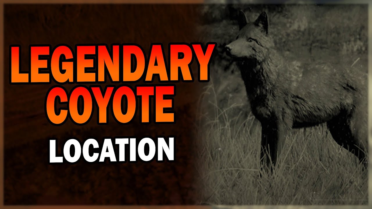 Legendary Coyote Location in Red Dead Redemption 2 - Red Dead ...