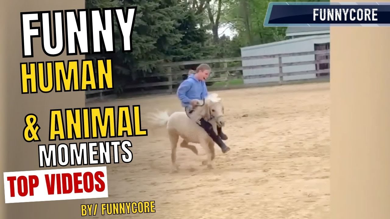 Top Videos of Human And Animals - 5-Minute Fails - YouTube