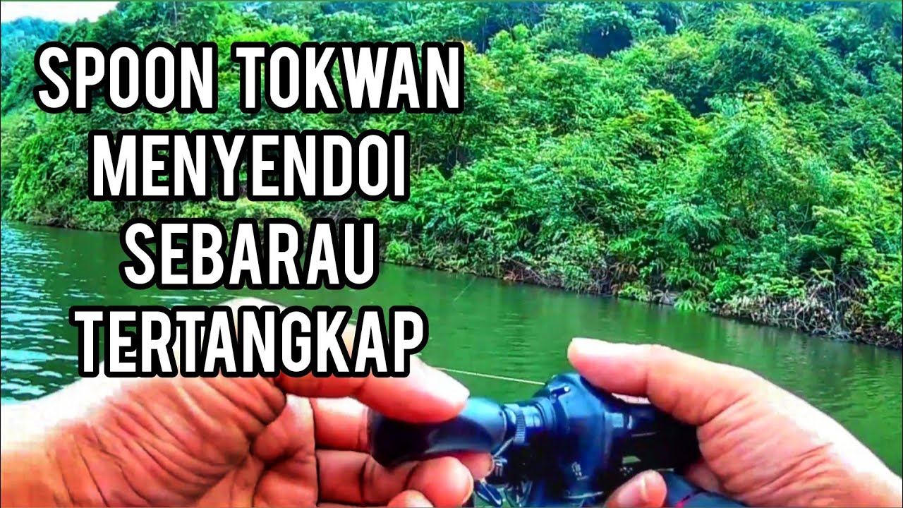 SEBARAU /TOK WAN SPOON 4GRAM - YouTube