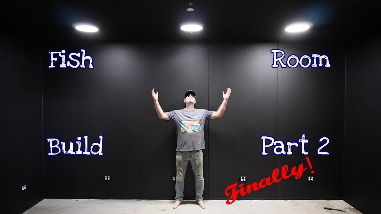 Building My DIY Fish Room Part 2. - YouTube
