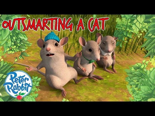 @OfficialPeterRabbit - Three Blind Mice | Full Episode | Cartoons for ...