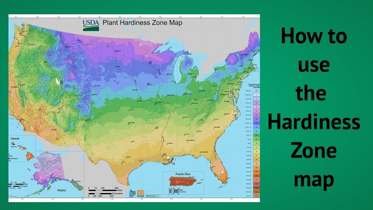 How to use the hardiness zone map - YouTube