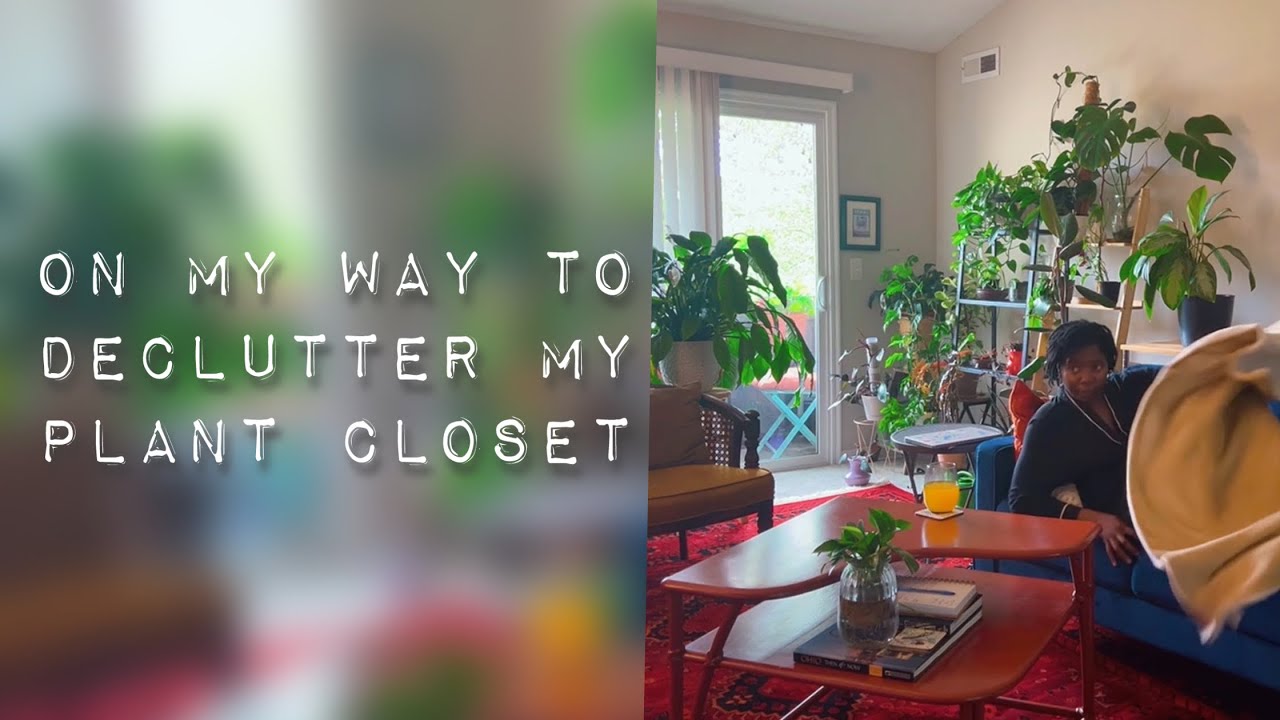 Letting go of stuff | Plant Closet declutter. - YouTube