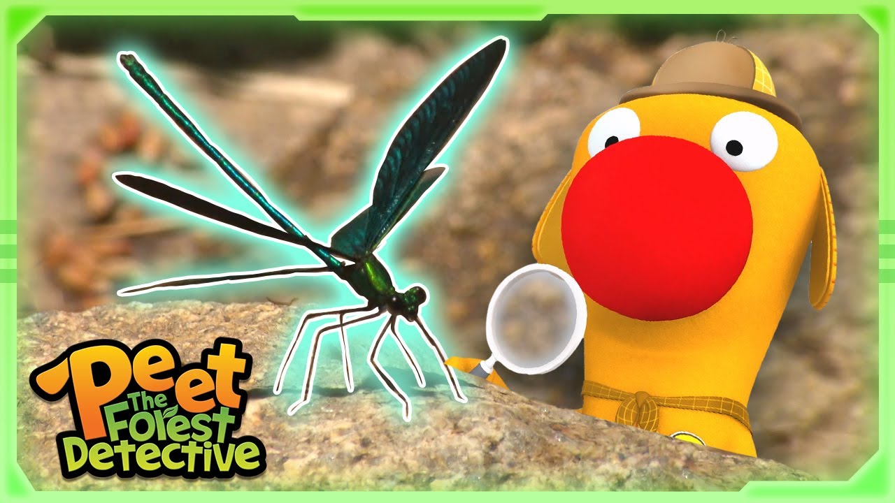 Dragonflies Can Walk on Water?! 🌊🕵️‍♂️ | Animal Stories For Kids | Peet ...