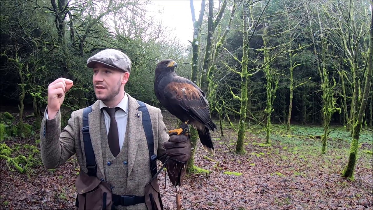 The ancient art of falconry.. - YouTube