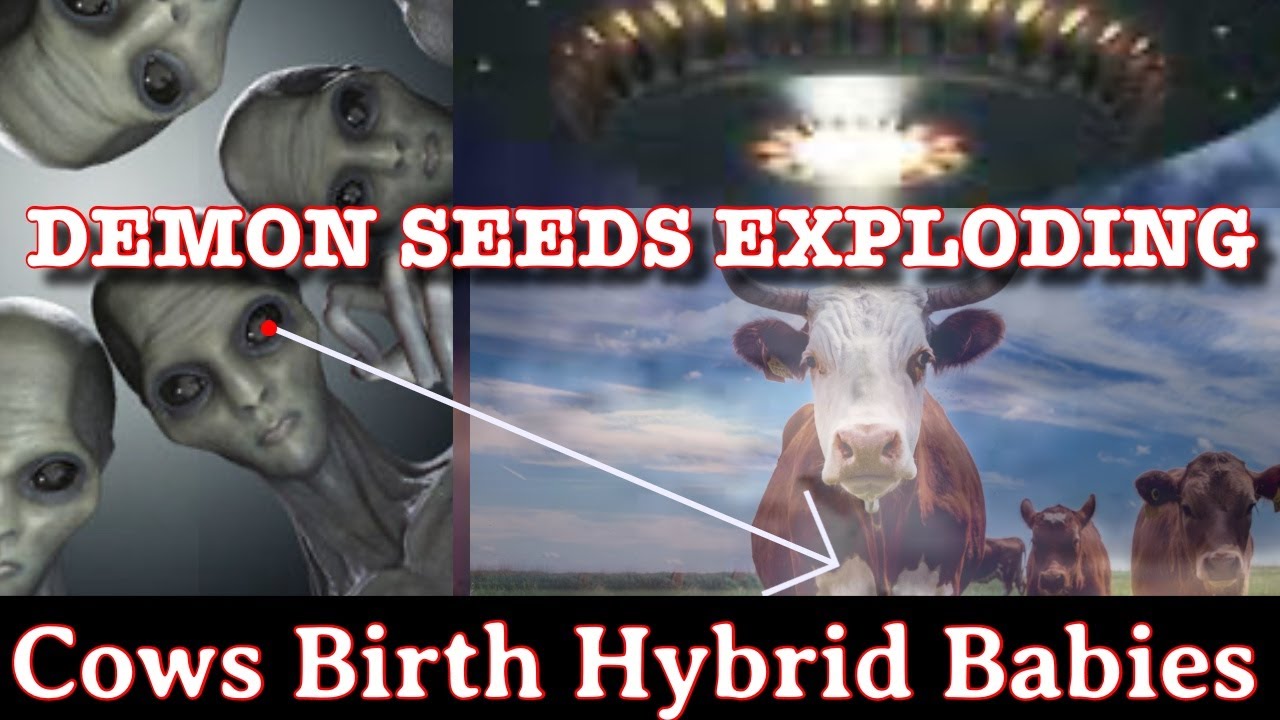 Alien/Demon Impregnates Christian Woman. She Births Hybrid Baby! Why ...