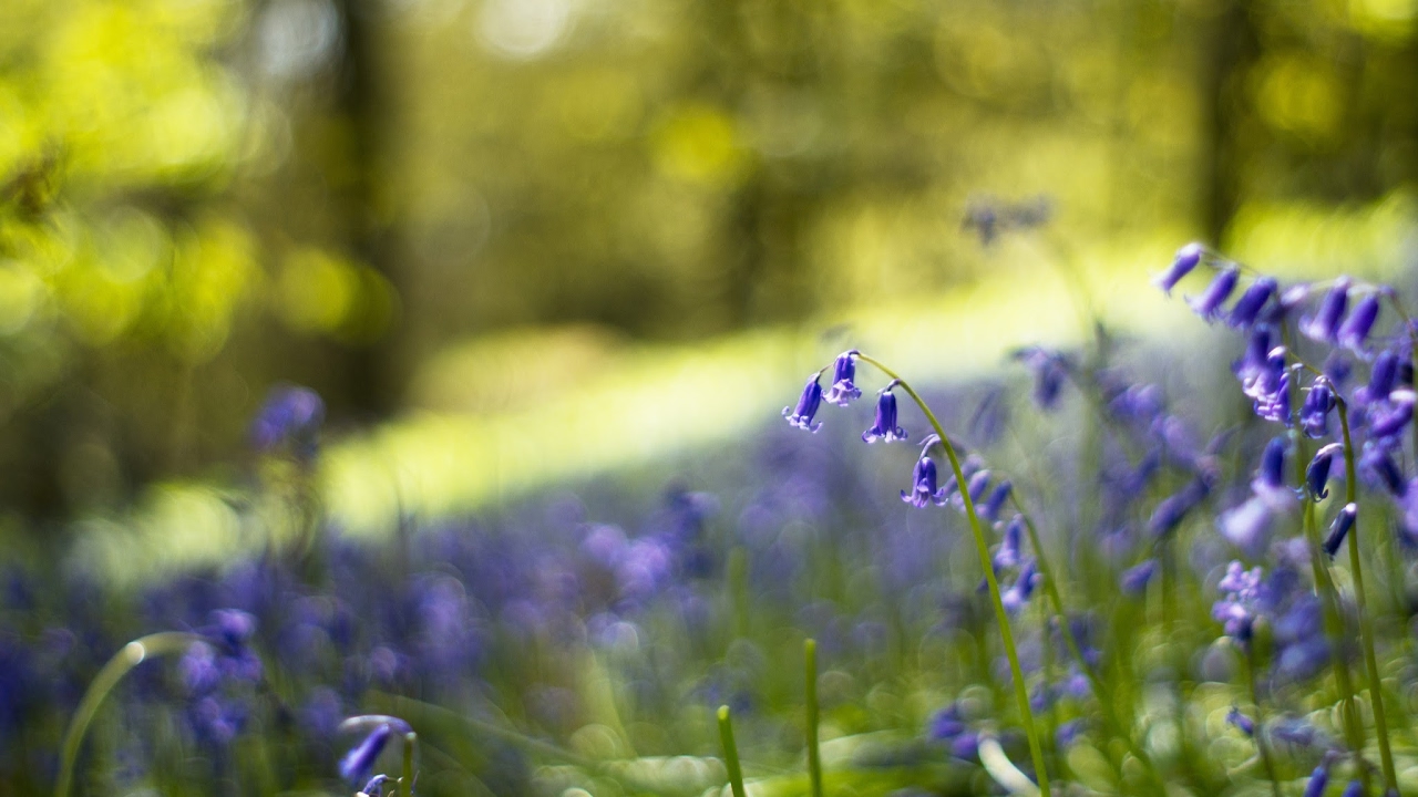 Programa JA (Jovens Adventistas) - 03/03/2018 - YouTube