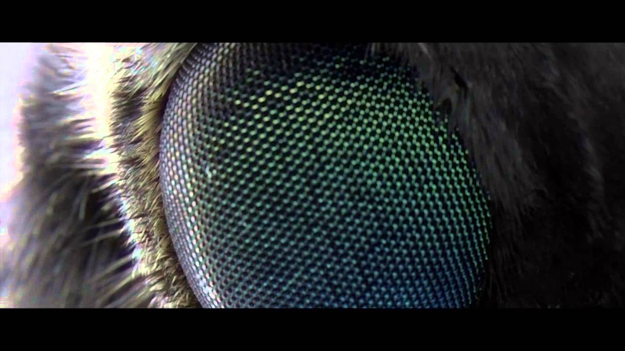 Loom - Vancouver Film School (VFS) - YouTube