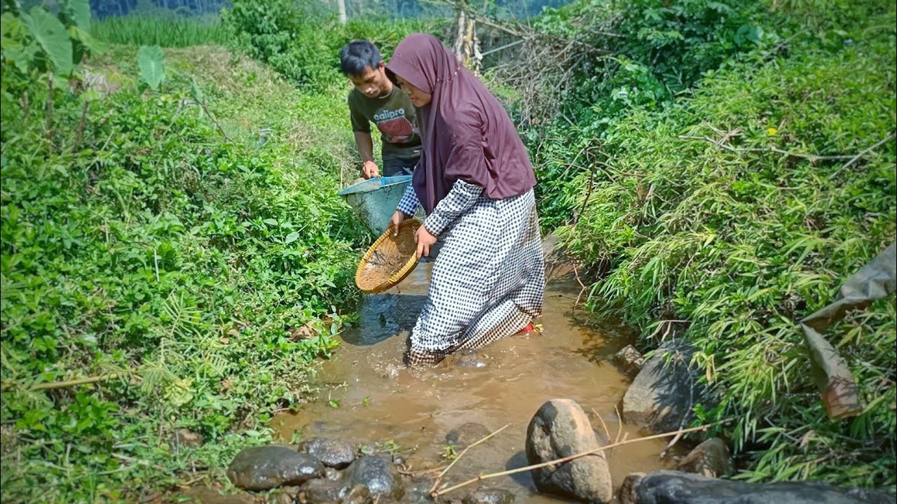 Menangkap Ikan di Sungai Dengan Cara Tradisional | Marak Ikan di Sungai ...