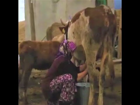 Sabri Şimşekoğlu Yollar Tagayyür Olufdu