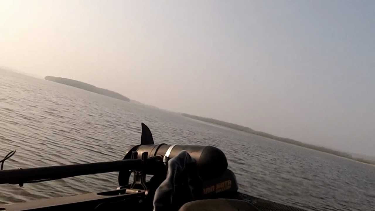 Bass Boat Shallow Water Hole Shot Stratos 295 Pro Elite - YouTube