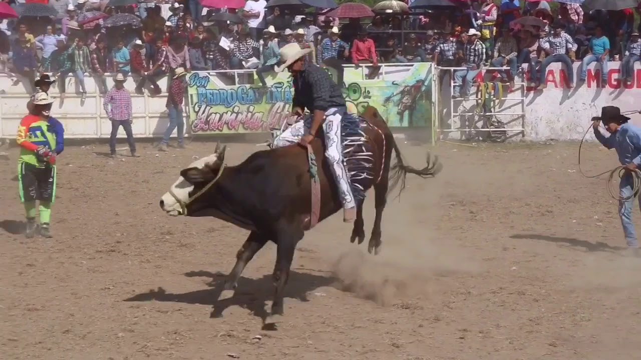 Tupataro Guanajuato 2018 - YouTube