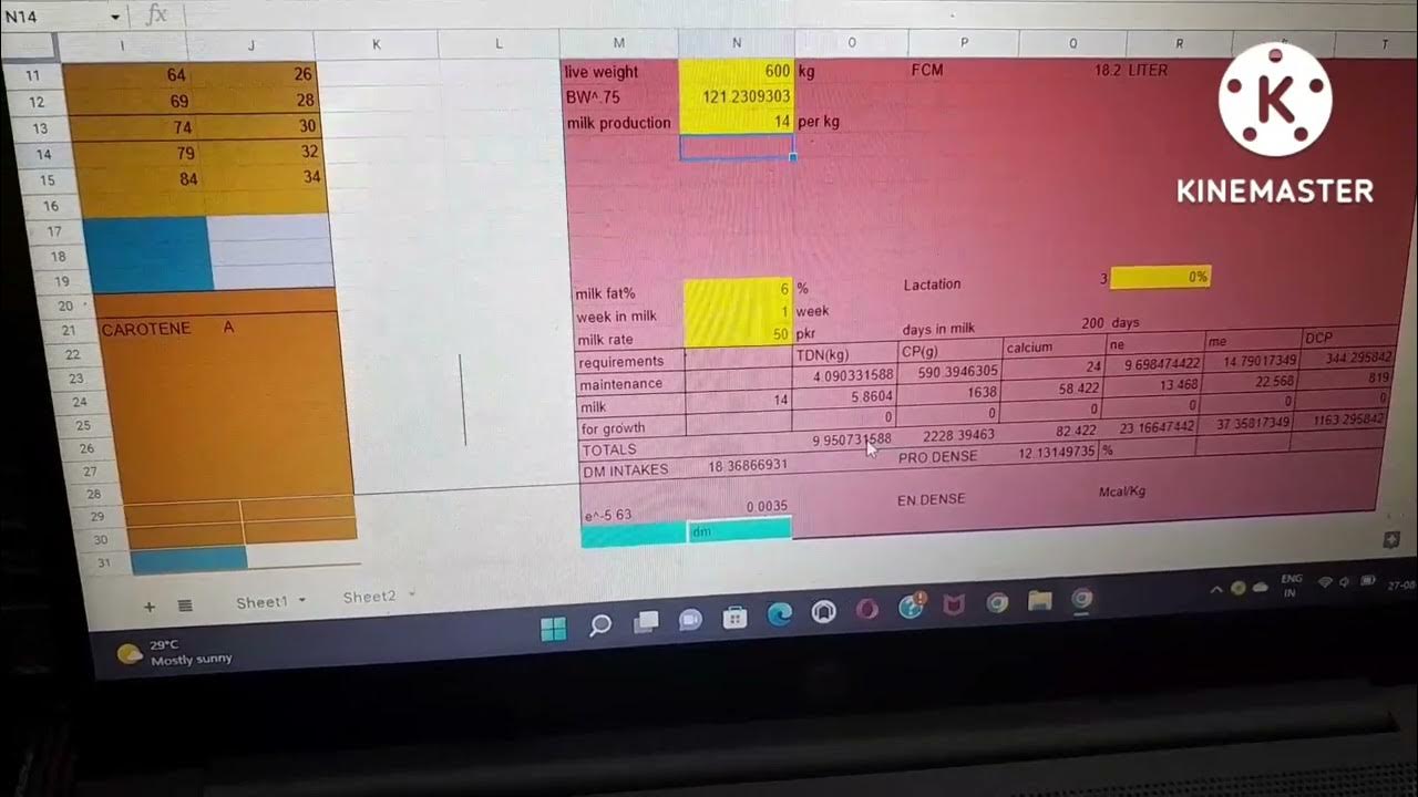 feed formulation for dairy animals by use of excel or Google sheets ...