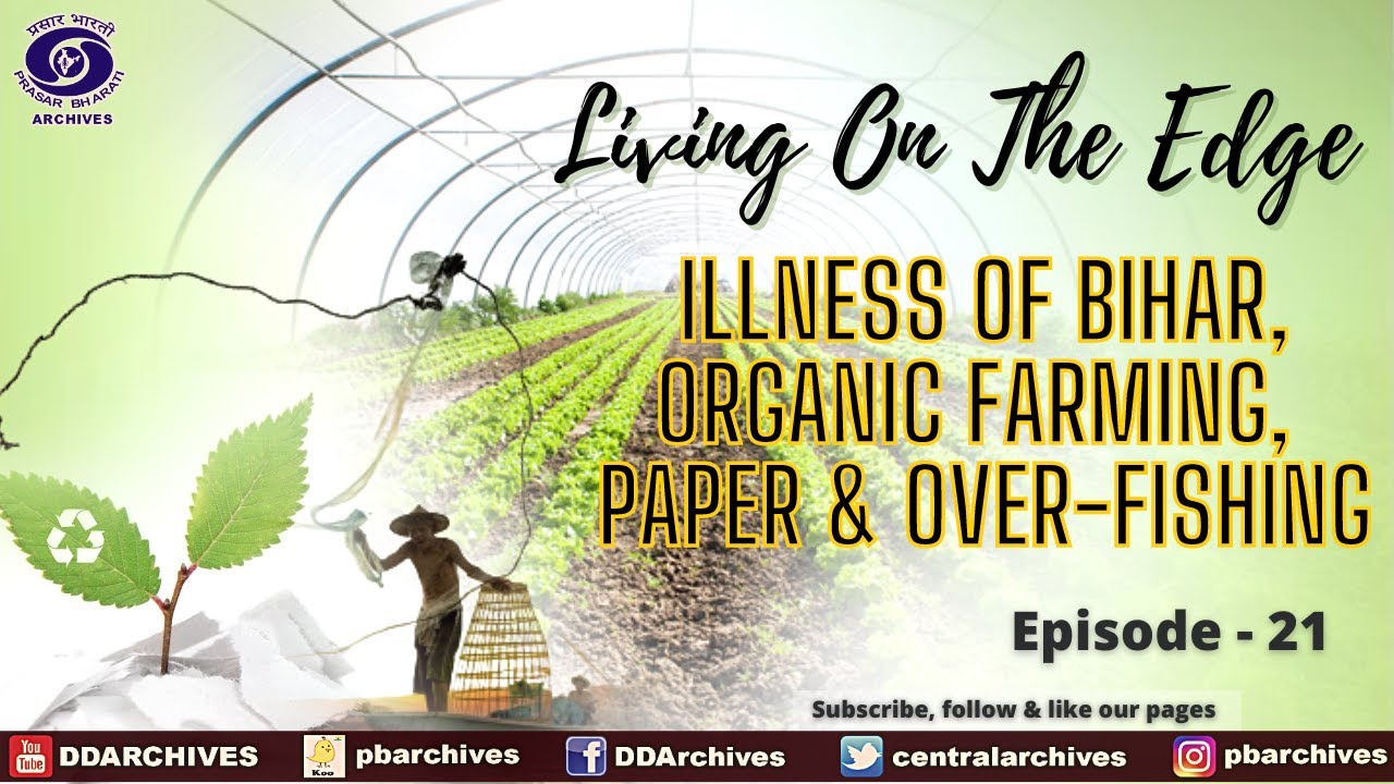 Illness of Bihar, Organic Farming, Paper & Over-Fishing | Living on the ...