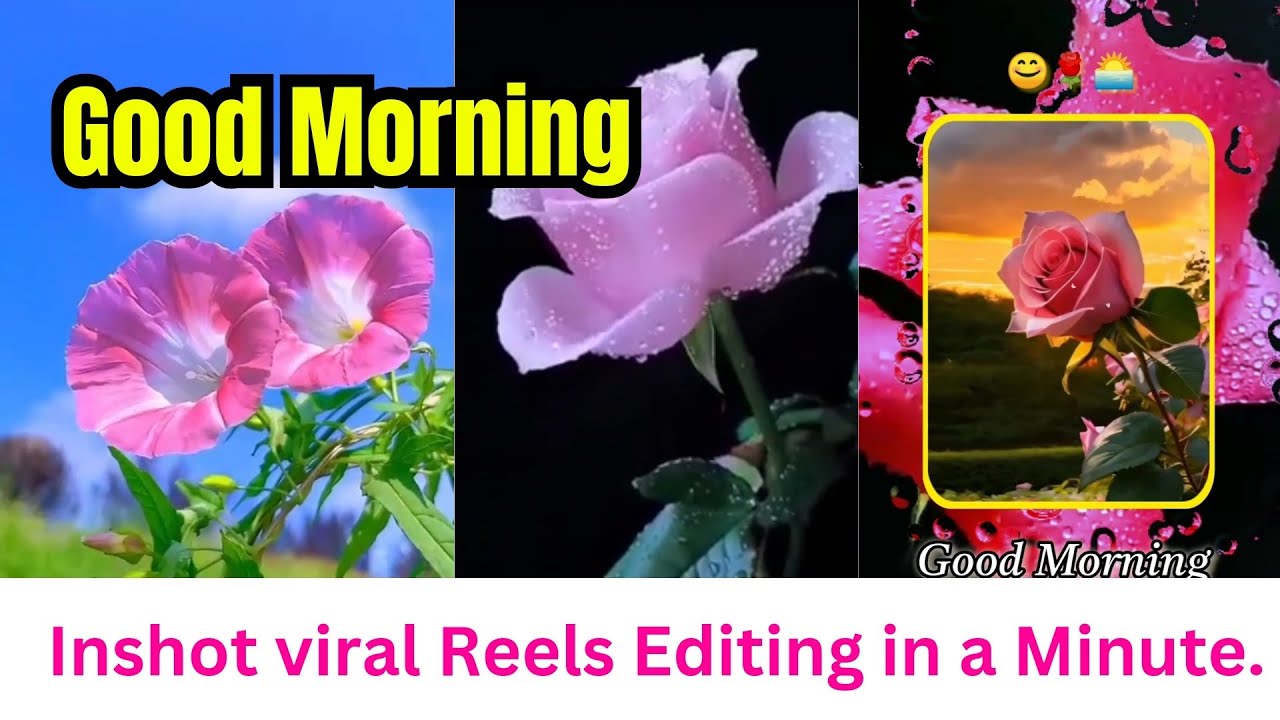 How to Edit Viral Reels with InShot App | Good Morning Reels Tutorial ...