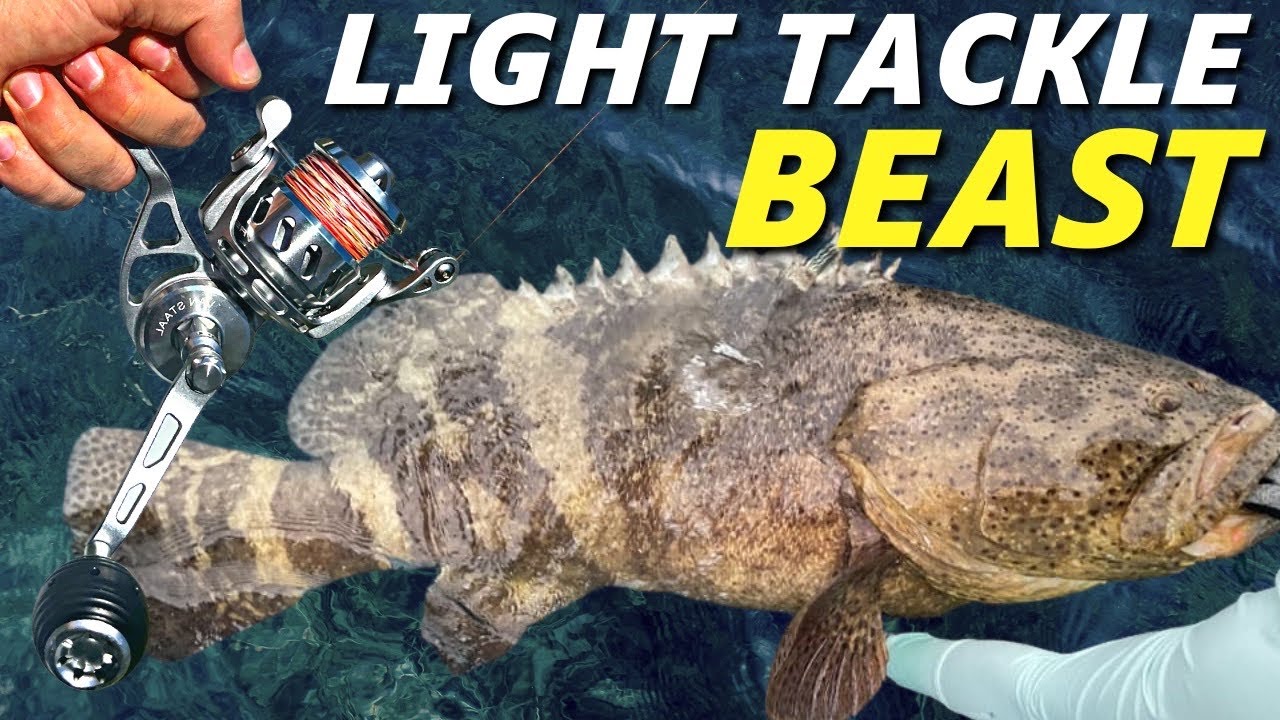 CATCHING 300 POUND FISH ON 30 POUND BEYOND BRAID! - YouTube