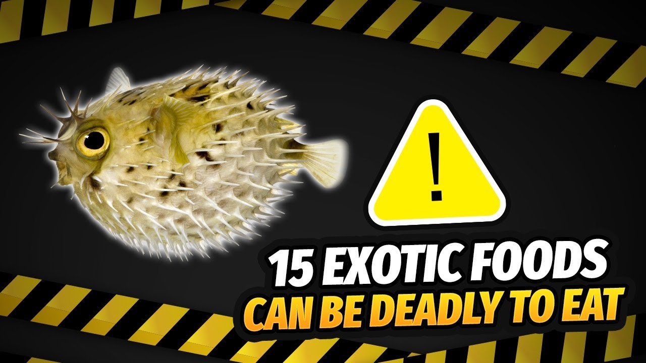 15 Exotic Foods Around the World That Can Be Deadly to Eat - YouTube