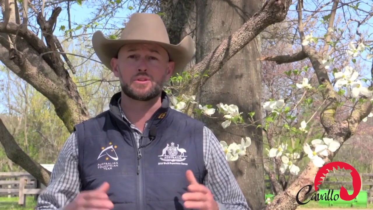 What are YOUR Horsey Isolation Goals? The Double Dans Want to Know ...