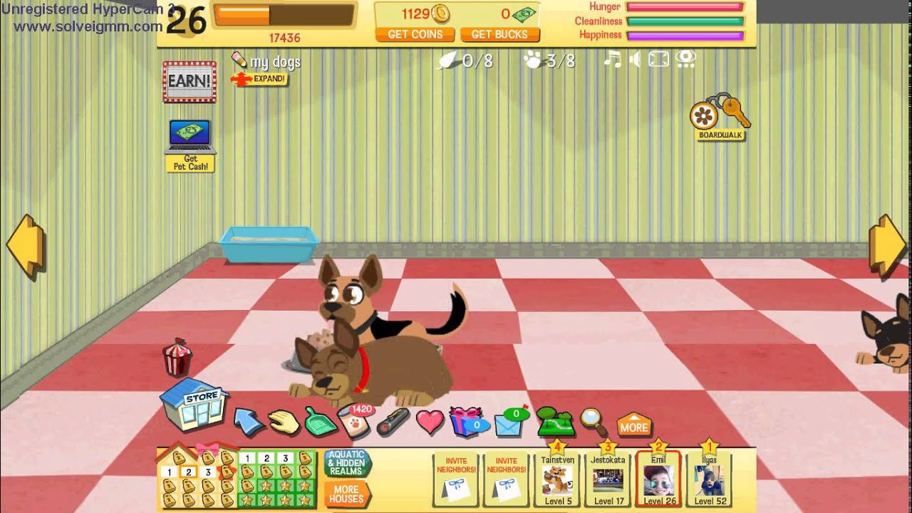 happy pets - YouTube