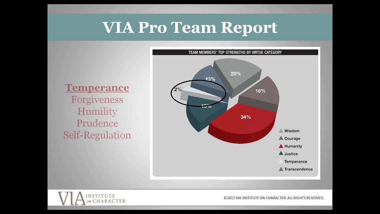 VIA Pro Team Report Tutorial - YouTube