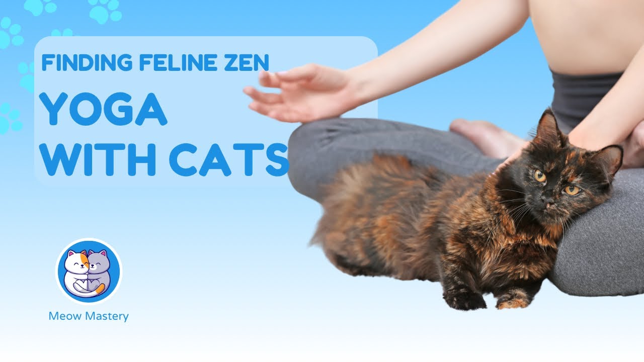 Yoga with Cats: Finding Zen with Your Feline - YouTube