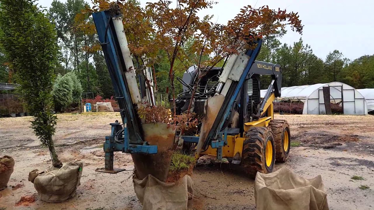 Tree spade digging crape myrtle - YouTube