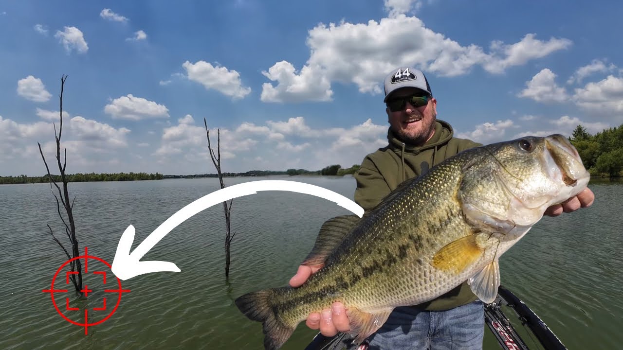 I Found A REALLY FUN Bite Flipping Flooded Timber!! (I Know What I’m ...