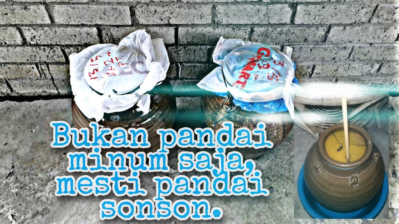 SEBELUM MINUM TAPAI (RICE WINE) - YouTube