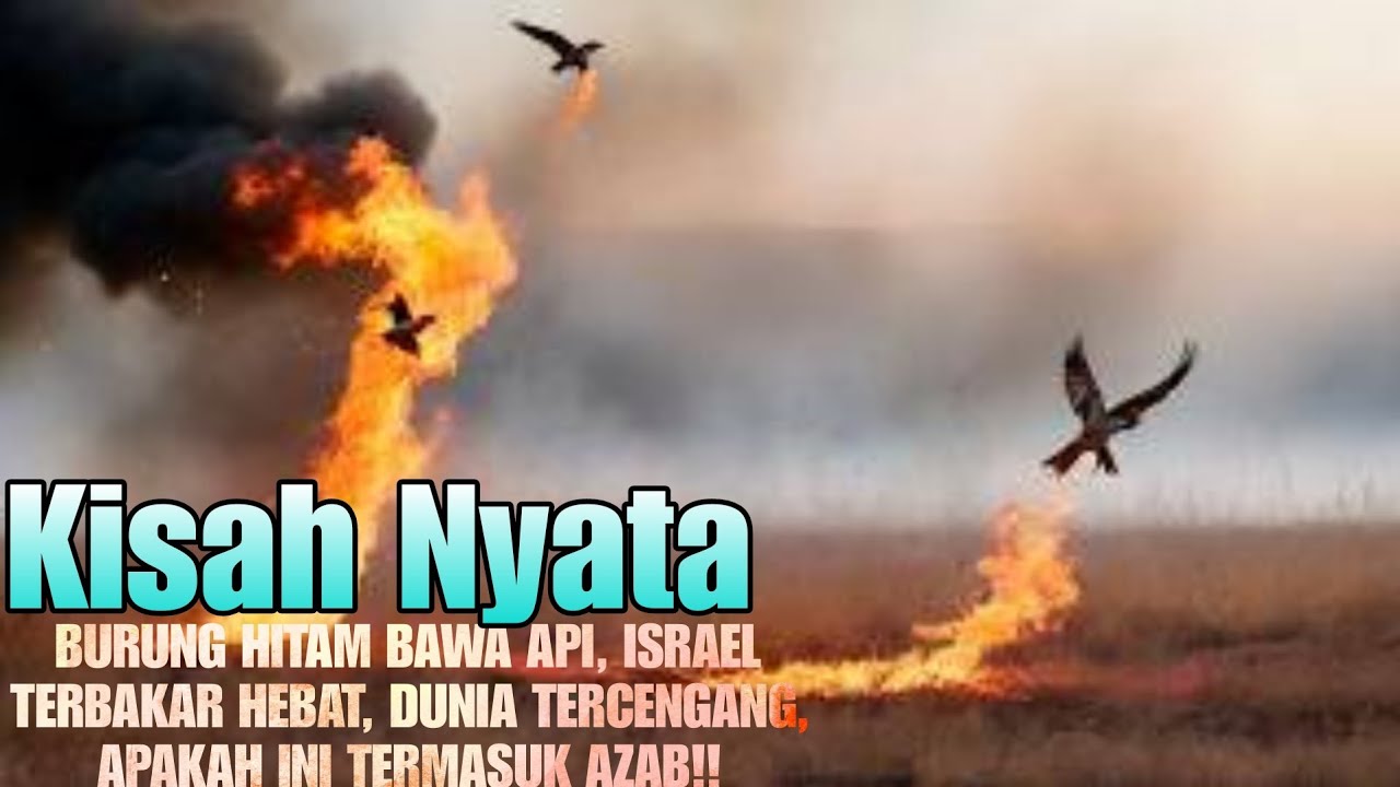 BURUNG HITAM BAWA API, ISRAEL TERBAKAR HEBAT, DUNIA TERCENGANG, APAKAH ...