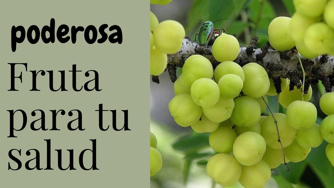 ¿Estás comiendo suficiente de esta súper fruta? - YouTube