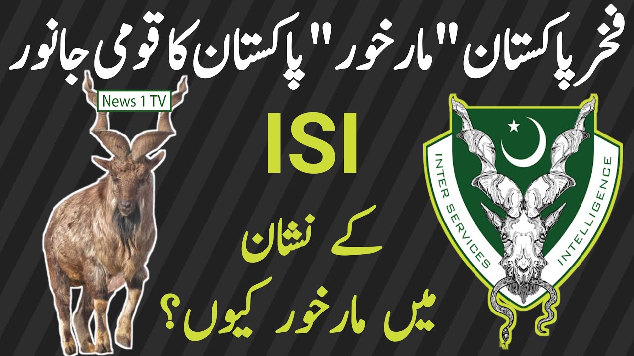 ISI logo and Pakistan Army | Best Inter services Intelligence and Pak ...