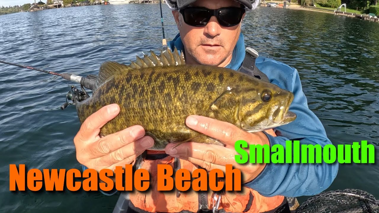 Lake Washington Smallmouth Bass Kayak Fishing Newcastle Beach Park ...