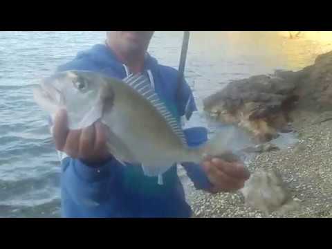 ΨΑΡΕΜΑ ΤΣΙΠΟΥΡΑΣ(ΤΡΟΠΑΙΟ) - YouTube